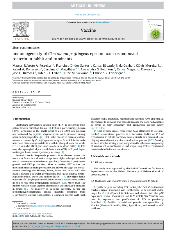 (PDF) Immunogenicity of Clostridium perfringens epsilon toxin ...