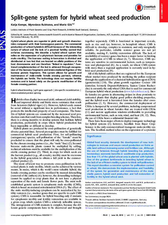 (PDF) Split-gene system for hybrid wheat seed production