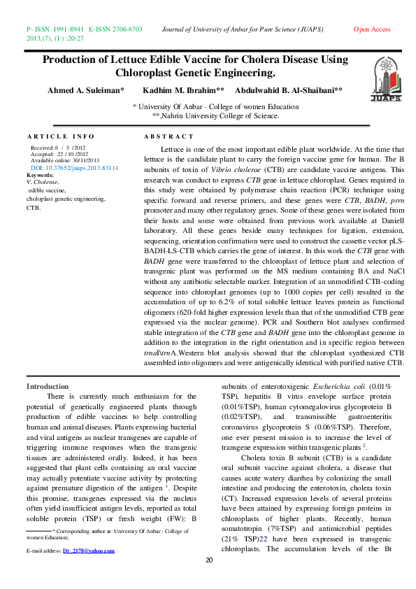 (PDF) Production of Lettuce Edible Vaccine for Cholera Disease Using ...