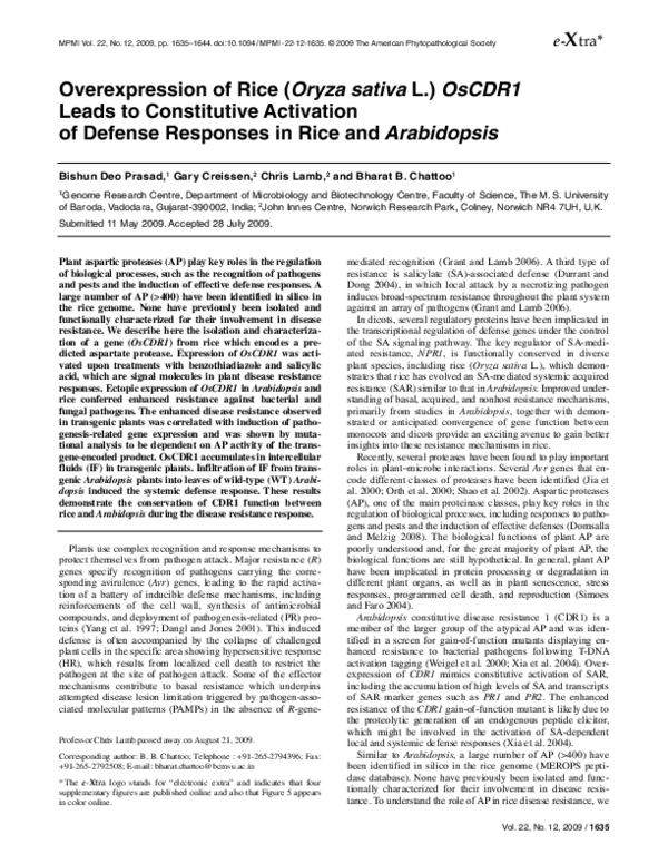 (PDF) Overexpression of Rice (Oryza sativa L.) OsCDR1 Leads to Constitutive Activation of ...