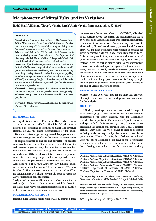 Pdf Morphometry Of Mitral Valve And Its Variations