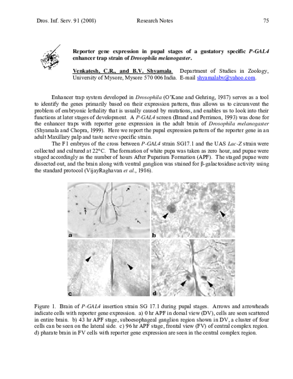 Pdf Ternary Bi2s3 Mos2 Tio2 With Double Z Scheme Configuration As