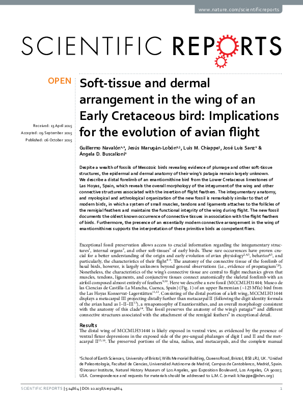 (PDF) Soft-tissue and dermal arrangement in the wing of an Early ...
