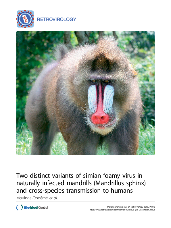(PDF) Two distinct variants of simian foamy virus in naturally infected ...