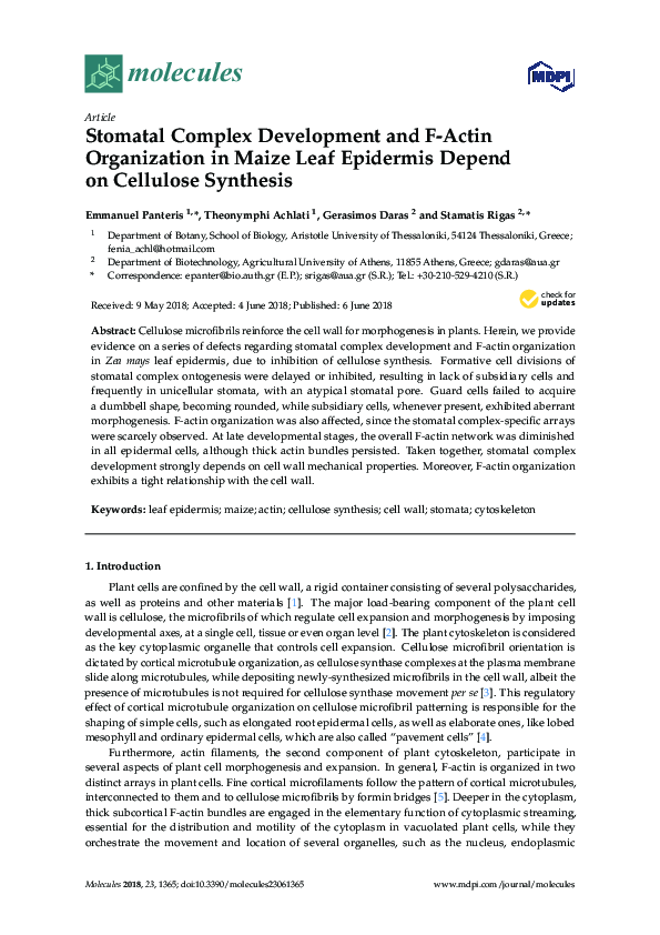 (PDF) Stomatal Complex Development and F-Actin Organization in Maize ...