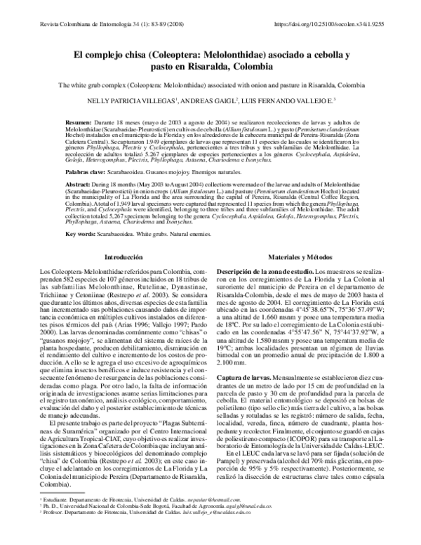 (PDF) El complejo chisa (Coleoptera: Melolonthidae) asociado a cebolla ...