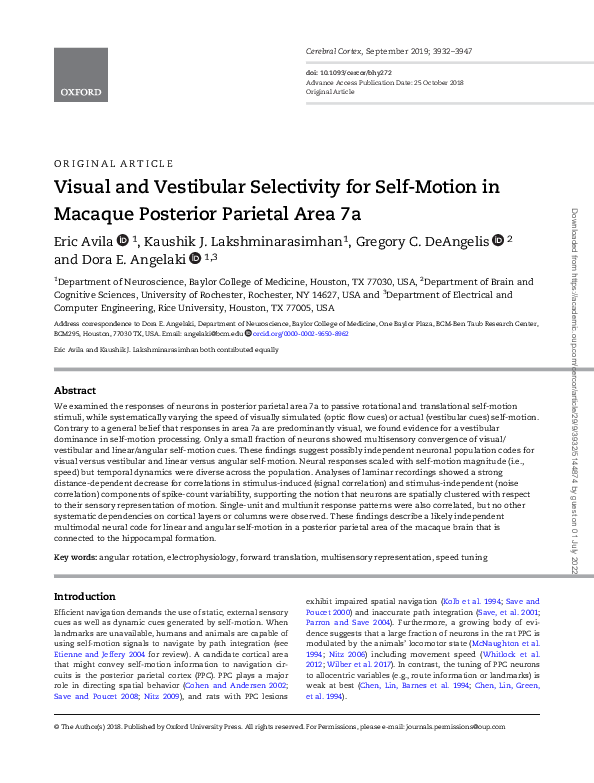 Pdf Visual And Vestibular Selectivity For Self Motion In Macaque Posterior Parietal Area 7a