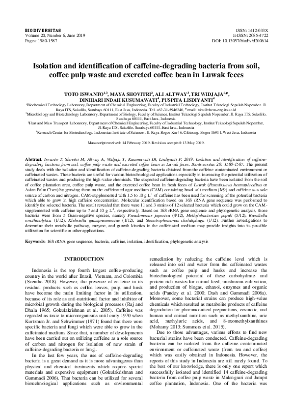 (PDF) Isolation and identification of caffeine-degrading bacteria from ...