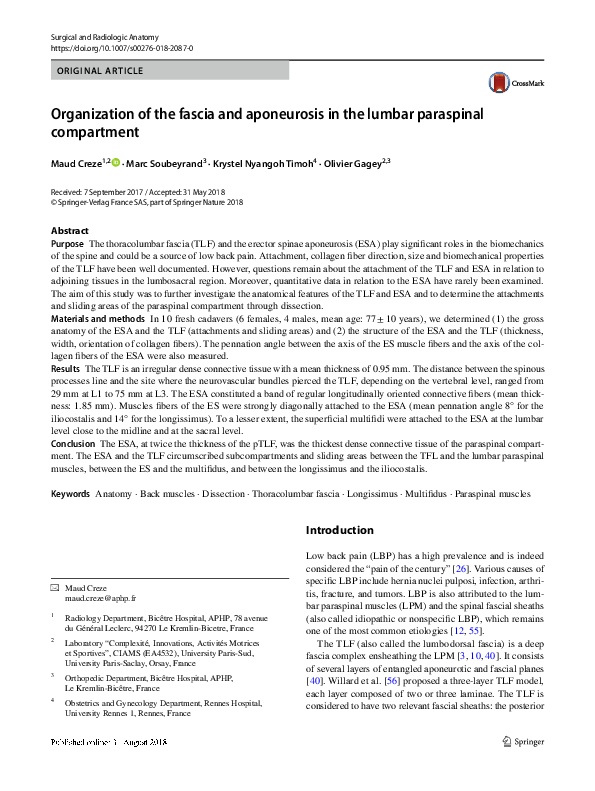 (PDF) Organization of the fascia and aponeurosis in the lumbar ...