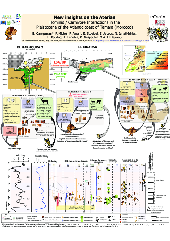 (PDF) New insights on the Aterian Hominid / Carnivore Interactions in ...