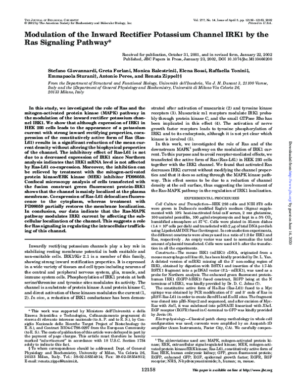 (PDF) Modulation of the Inward Rectifier Potassium Channel IRK1 by the ...