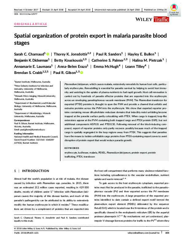 (PDF) Spatial organization of protein export in malaria parasite blood ...