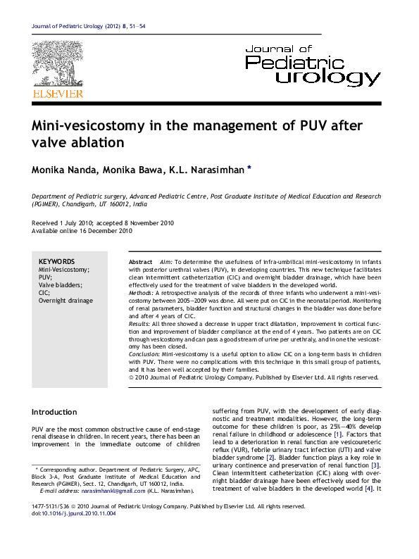 (PDF) Mini-vesicostomy in the management of PUV after valve ablation