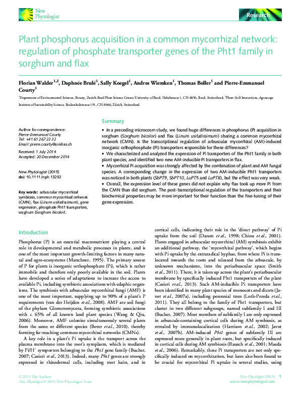 (PDF) Plant phosphorus acquisition in a common mycorrhizal network ...