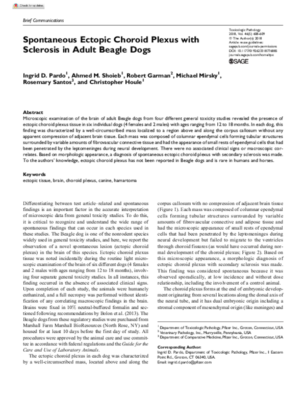 (PDF) Spontaneous Ectopic Choroid Plexus with Sclerosis in Adult Beagle ...