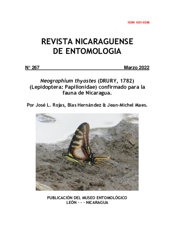 (PDF) Neographium thyastes (DRURY, 1782) (Lepidoptera: Papilionidae ...