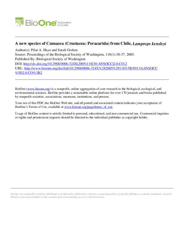 (PDF) A new species of Cumacea (Crustacea: Peracarida) from Chile ...