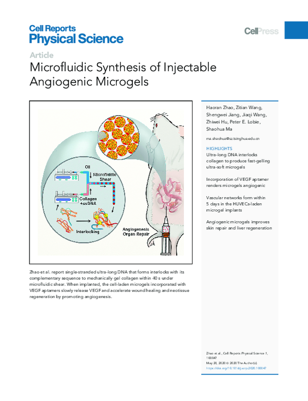 (PDF) Microfluidic Synthesis of Injectable Angiogenic Microgels