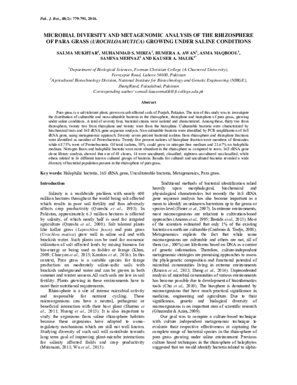 (PDF) Microbial Diversity and Metagenomic Analysis of the Rhizosphere ...