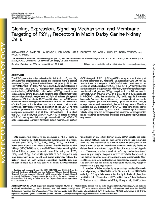 (PDF) Cloning, Expression, Signaling Mechanisms, and Membrane Targeting ...