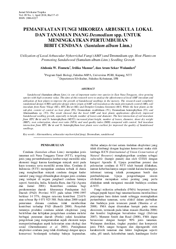 (PDF) PEMANFAATAN FUNGI MIKORIZA ARBUSKULA LOKAL DAN TANAMAN INANG ...