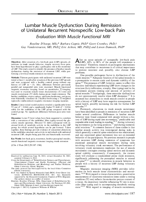 (PDF) Lumbar Muscle Dysfunction During Remission of Unilateral ...