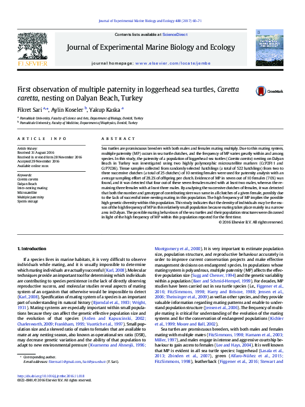(PDF) First observation of multiple paternity in loggerhead sea turtles ...