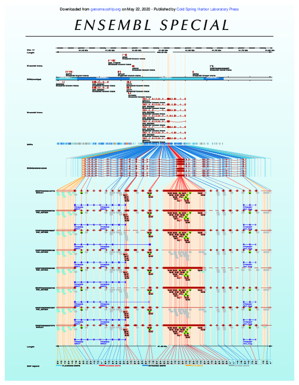 (PDF) An Overview of Ensembl | Roger Pettett - Academia.edu