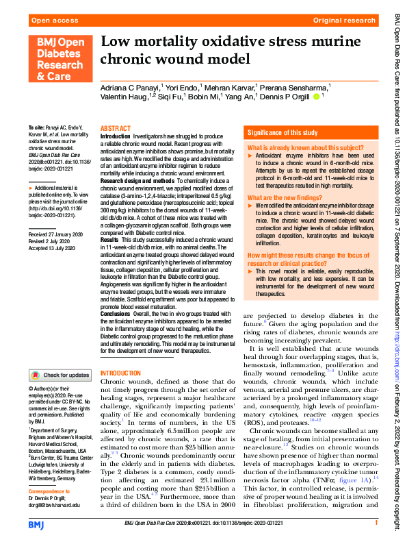 (PDF) Low mortality oxidative stress murine chronic wound model