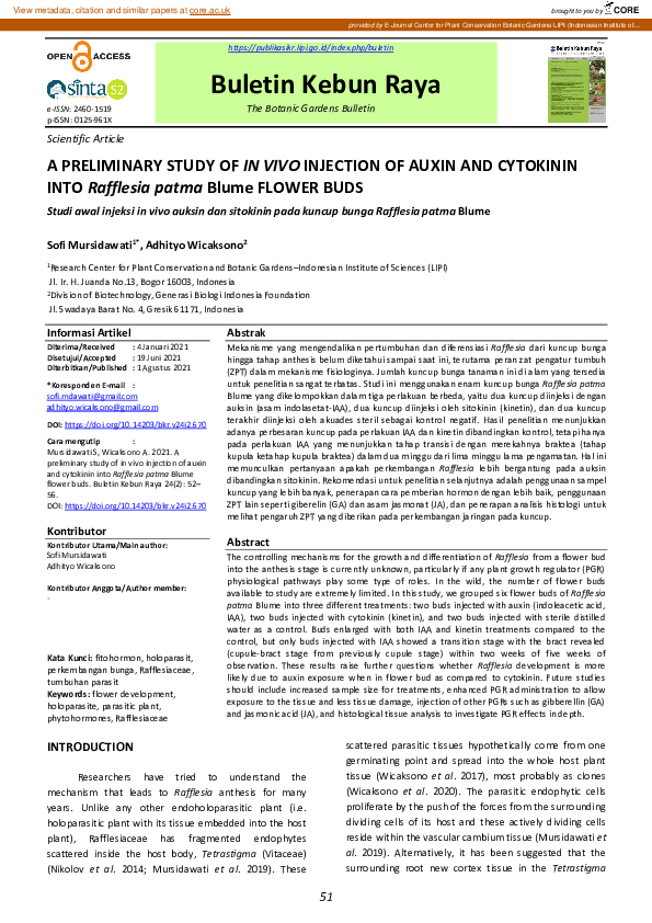 (PDF) Studi awal injeksi in vivo auksin dan sitokinin pada kuncup bunga ...