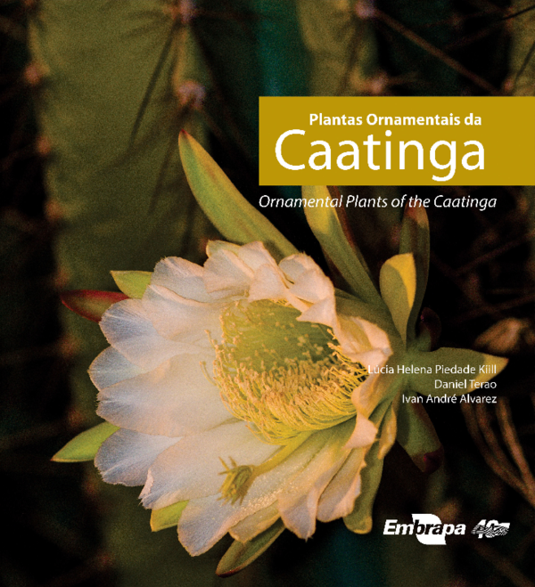 (PDF) Plantas ornamentais da Caatinga