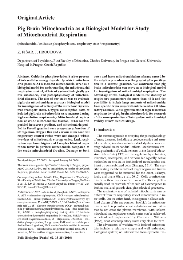 (PDF) Pig Brain Mitochondria as a Biological Model for Study of Mitochondrial Respiration