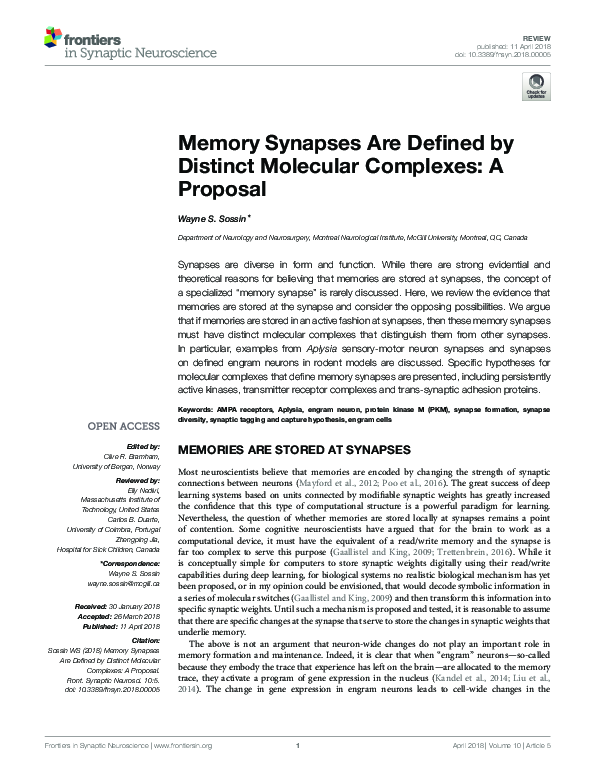 (PDF) Memory Synapses Are Defined by Distinct Molecular Complexes: A Proposal
