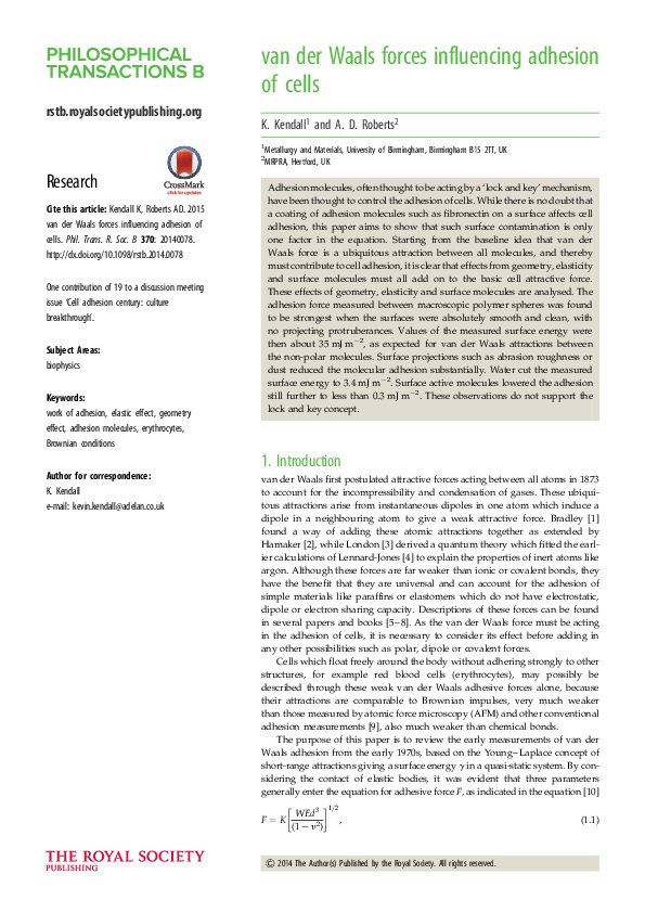 (PDF) van der Waals forces influencing adhesion of cells