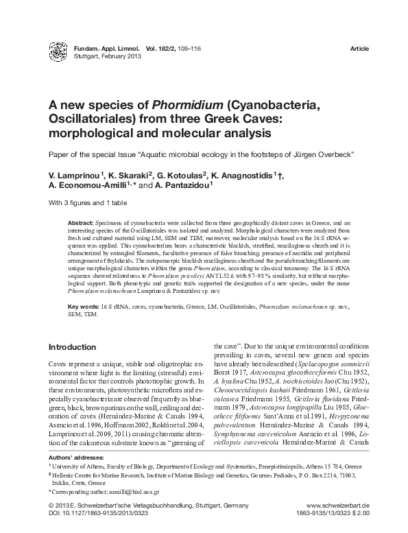 (PDF) A new species of Phormidium (Cyanobacteria, Oscillatoriales) from ...