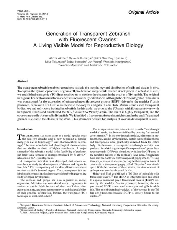 (PDF) Generation of Transparent Zebrafish with Fluorescent Ovaries: A ...