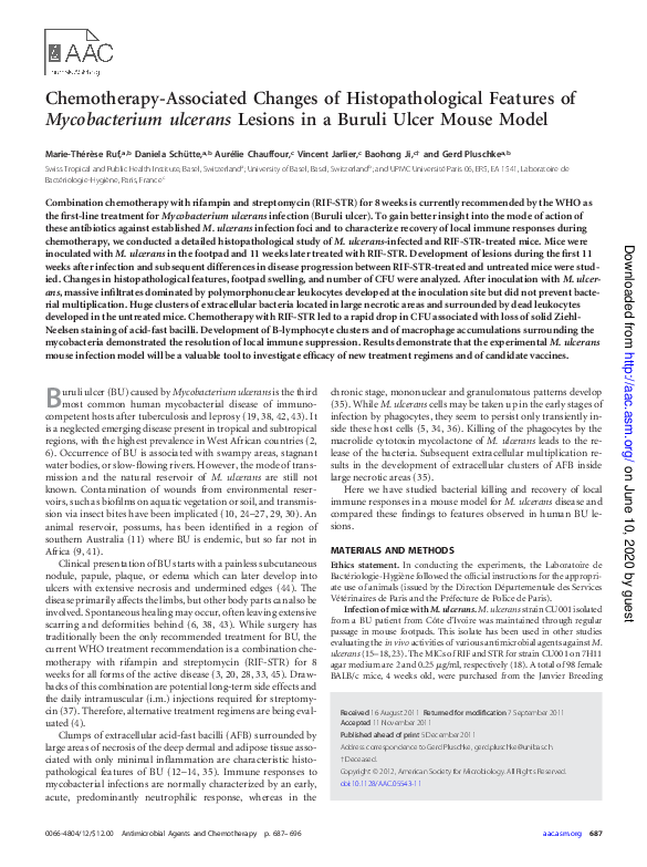(PDF) Chemotherapy-Associated Changes of Histopathological Features of Mycobacterium ulcerans ...