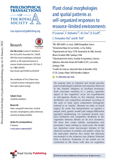 (PDF) Plant clonal morphologies and spatial patterns as self-organized ...