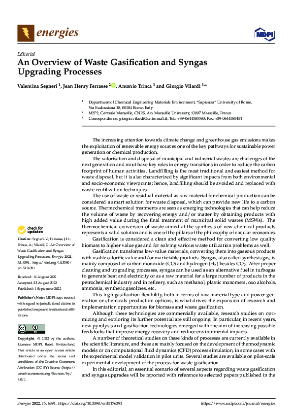 (PDF) An Overview of Waste Gasification and Syngas Upgrading Processes