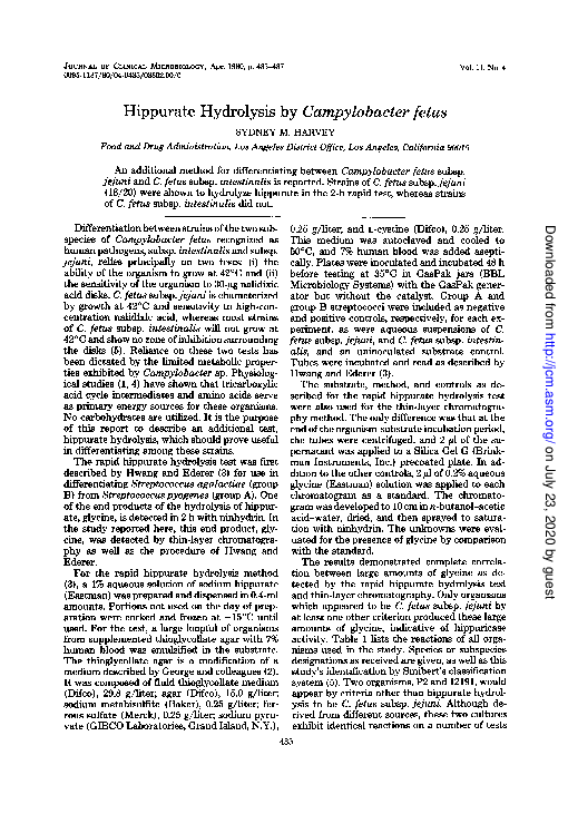 (PDF) Hippurate hydrolysis by Campylobacter fetus