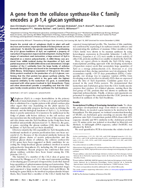 (PDF) A gene from the cellulose synthase-like C family encodes a β-1,4 ...