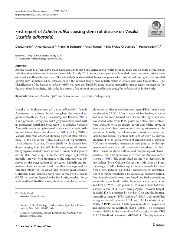 (PDF) First report of Athelia rolfsii causing stem rot disease on ...