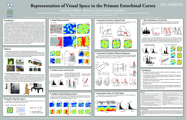 (PDF) Representation of Visual Space in the Primate Entorhinal Cortex ...