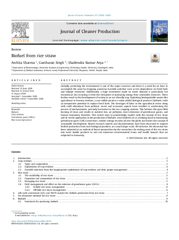 (PDF) Biofuel from rice straw
