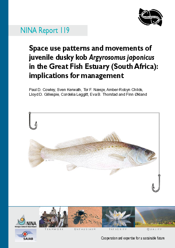 (PDF) Space use patterns and movements of juvenile dusky kob ...
