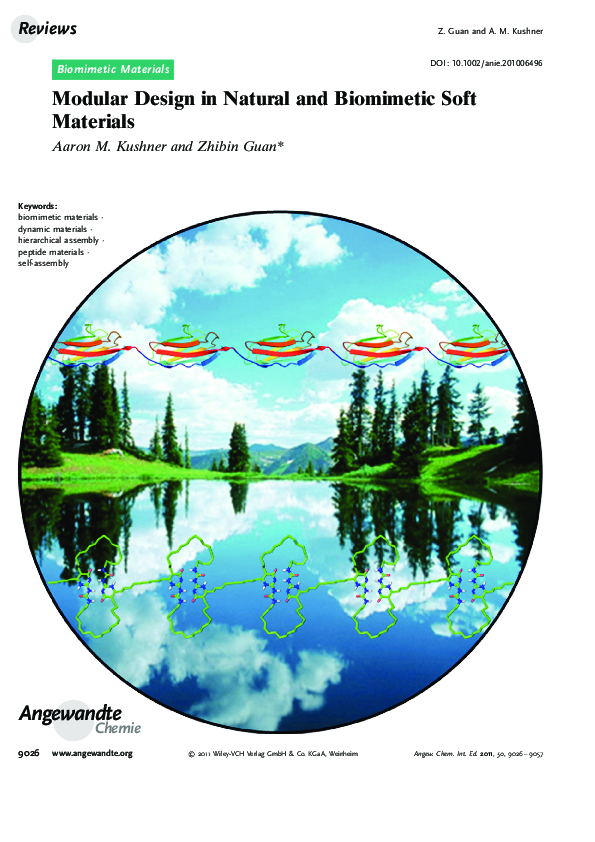 (PDF) Modular Design in Natural and Biomimetic Soft Materials