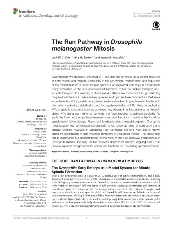 (PDF) The Ran Pathway in Drosophila melanogaster Mitosis