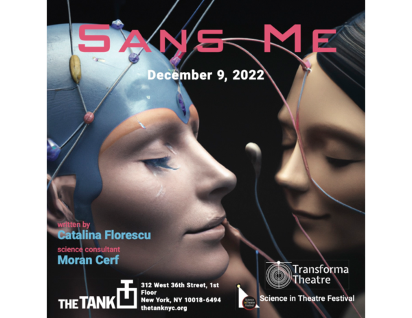 (PDF) Sans Me 20x20 poster