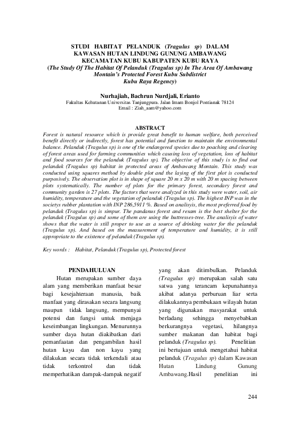 (PDF) STUDI HABITAT PELANDUK (Tragulus sp) DALAM KAWASAN HUTAN LINDUNG ...