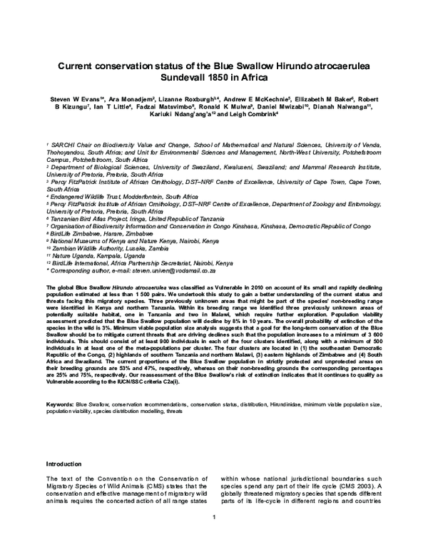 (PDF) Current conservation status of the Blue Swallow Hirundo ...